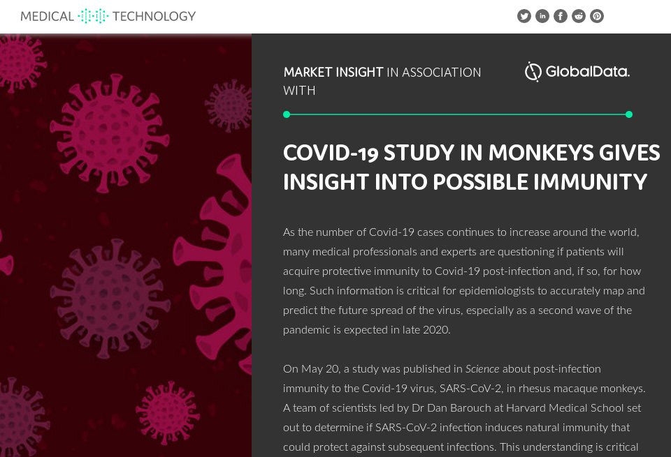 Covid-19 study in monkeys gives insight into possible immunity ...