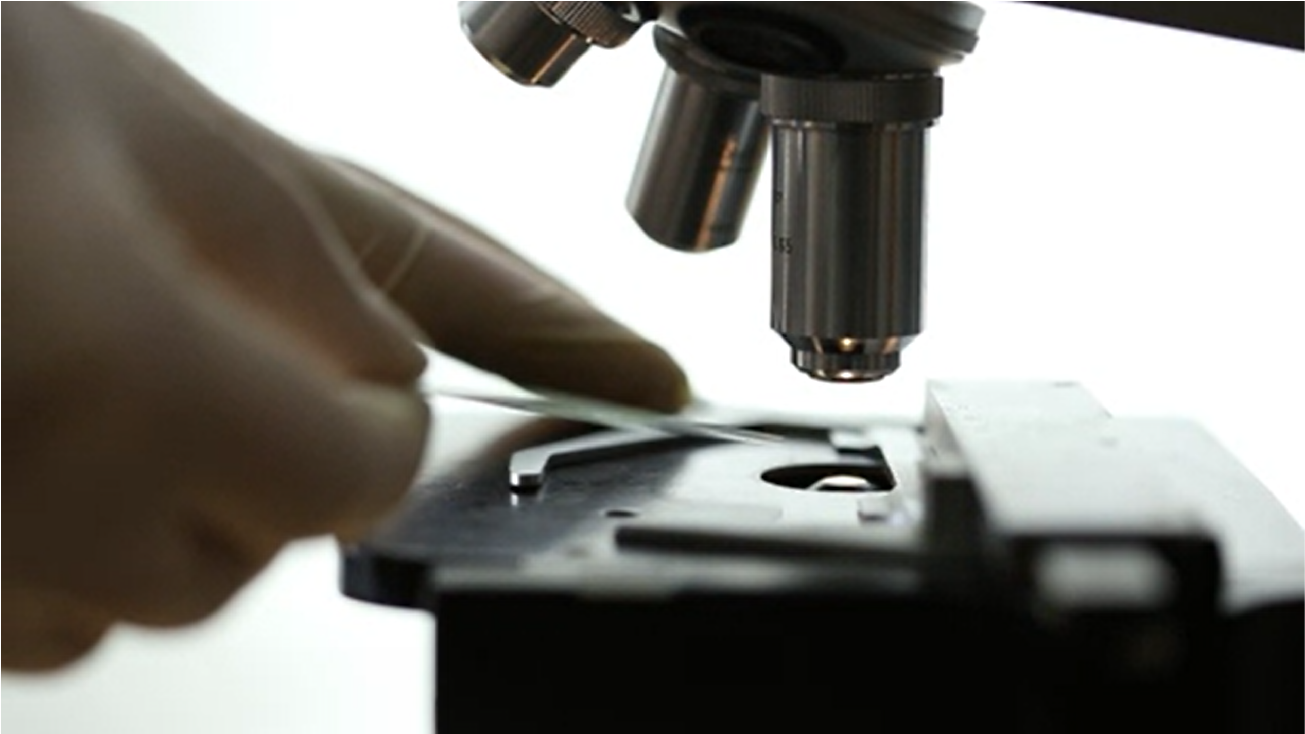 Swisstec 3D - Medical Technology | Issue 27 | May 2020